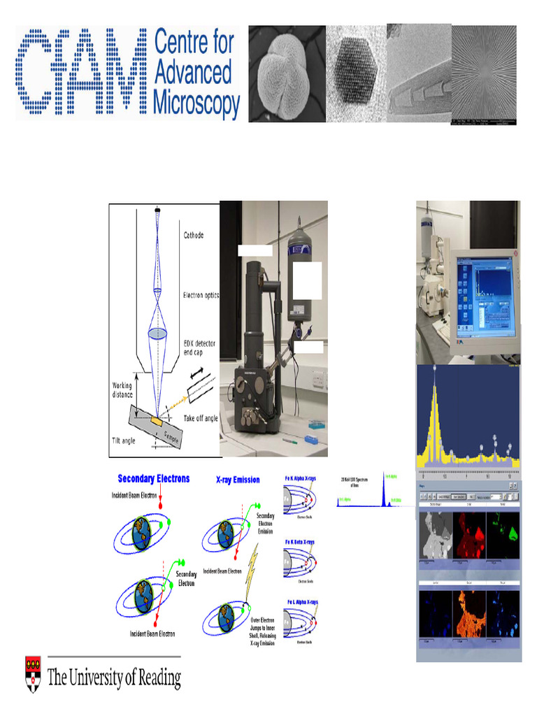 Xray_Analysis | PDF | Scanning Electron Microscope | Electron