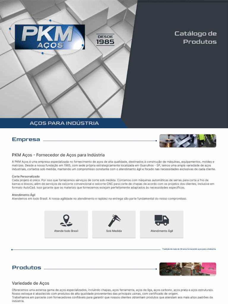 Catálogo PKM Aços | PDF