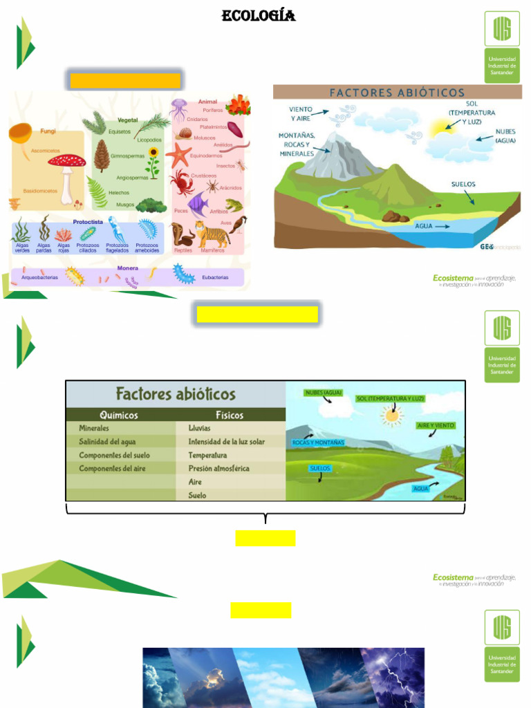 Ecología - Factores Abióticos | PDF | Clima | Entorno natural