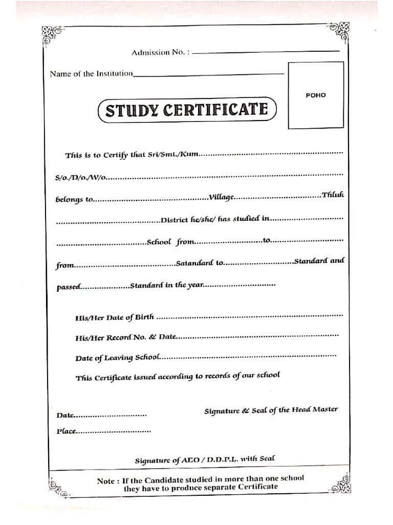 My Exam Updates | PDF