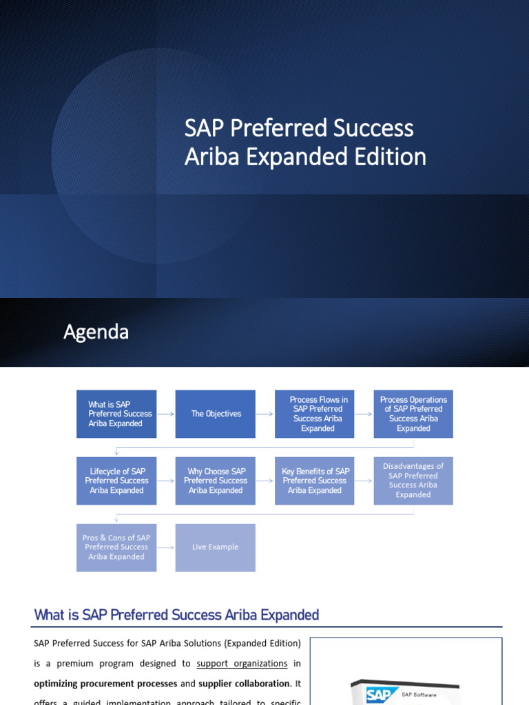 Evaluating SAP Ariba Preferred Success | PDF | Innovation | Procurement