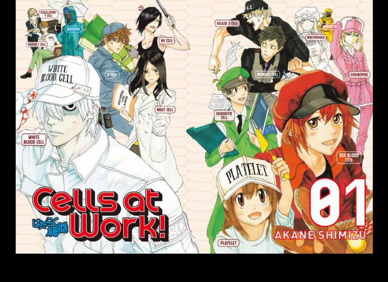 Cells at Work！ Volume 1 | PDF