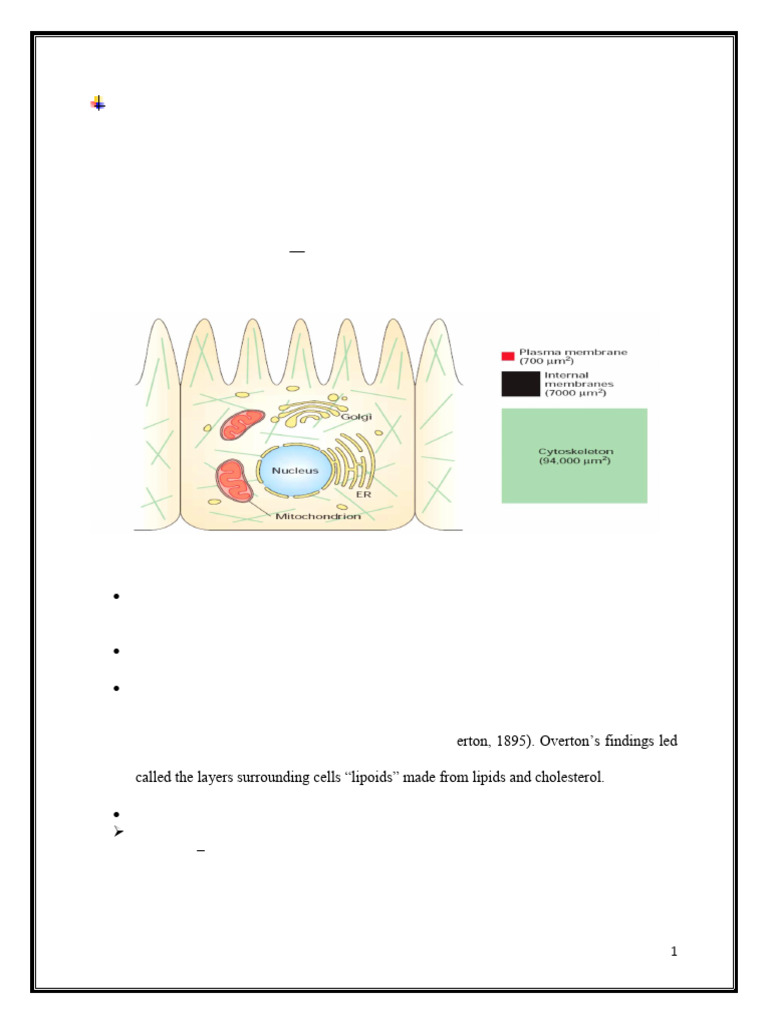 Final Assgn Biomembrane | PDF | Cell Signaling | Cell Membrane