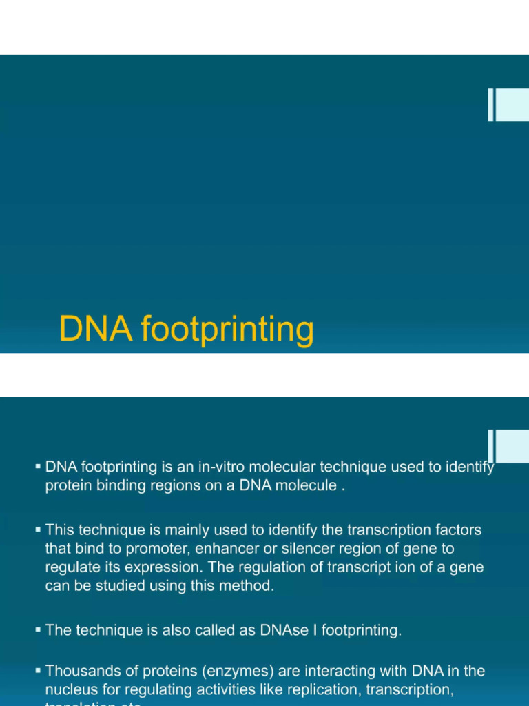 DNA Footprinting | PDF