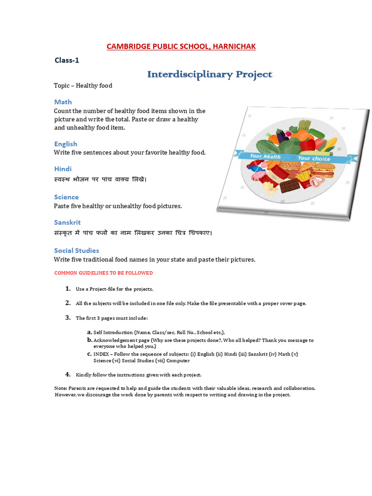 Class 1 Interdisciplinary Project Guide | PDF