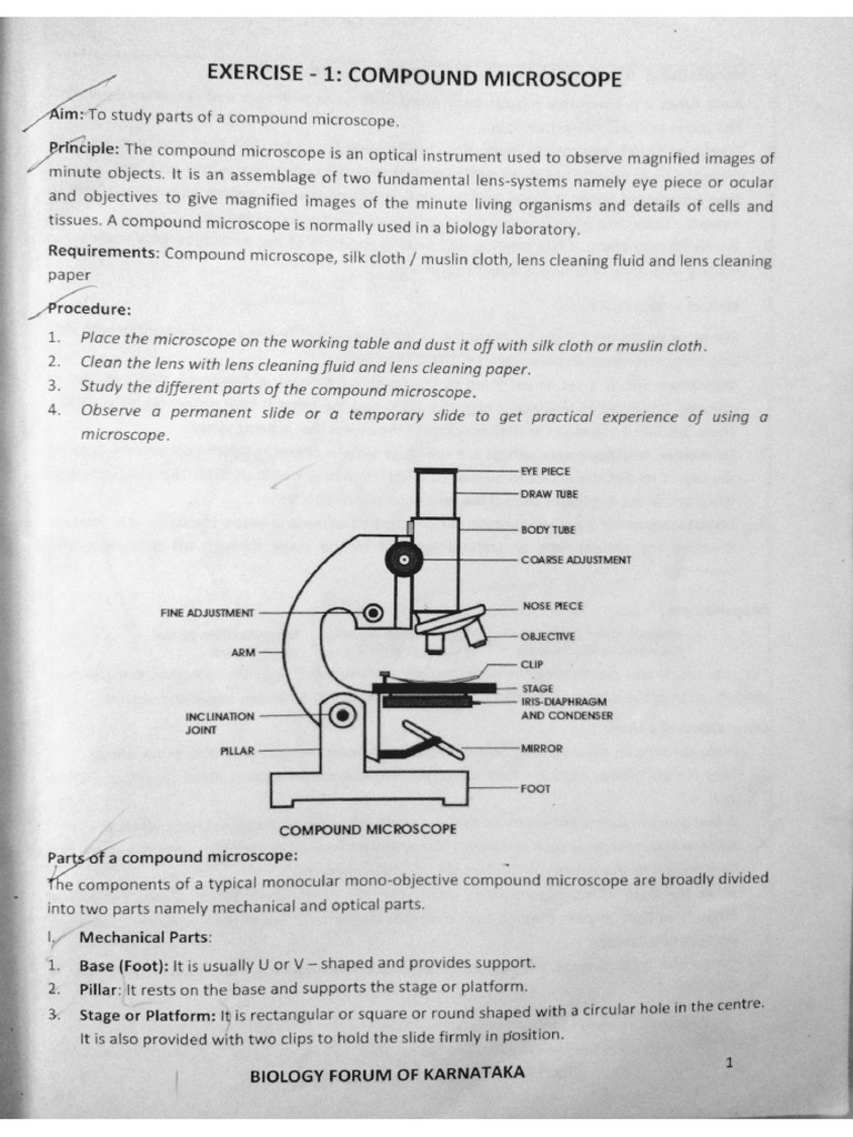 Practical Biology 1 | PDF