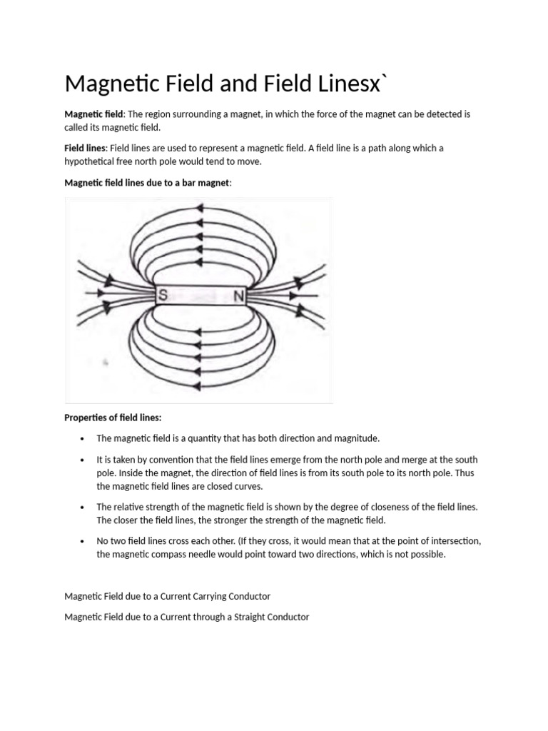 Magnetic Field and Field Lines | PDF | Magnetic Field | Fuse (Electrical)