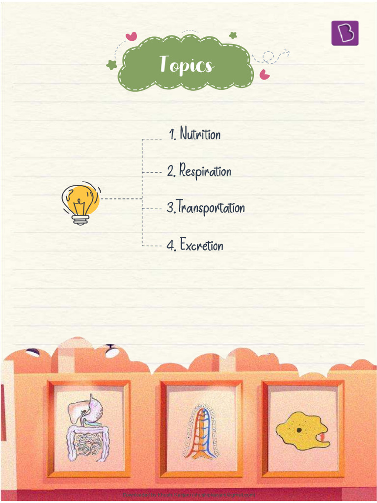 Class 10 Life Process Mind Map and Notes | PDF