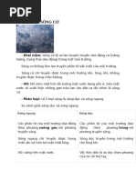 Giao Thoa Sóng Cơ Cực Đại Cực Tiểu Tổng Quát - DGH | PDF