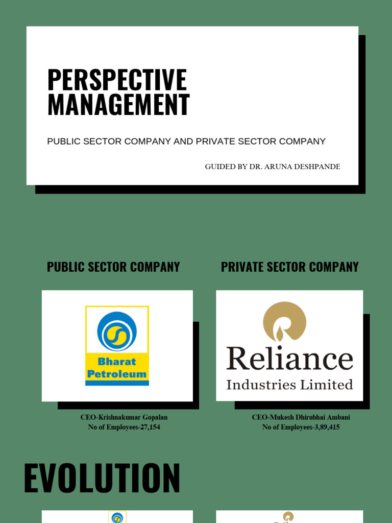 Perspective Management: Public Sector Company and Private Sector ...