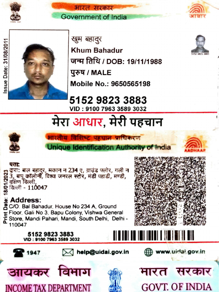 Aadhar Card and PAN Card (1) | PDF