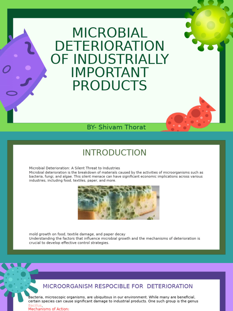 Microbiology Ptresent | PDF | Microorganism | Bacillus