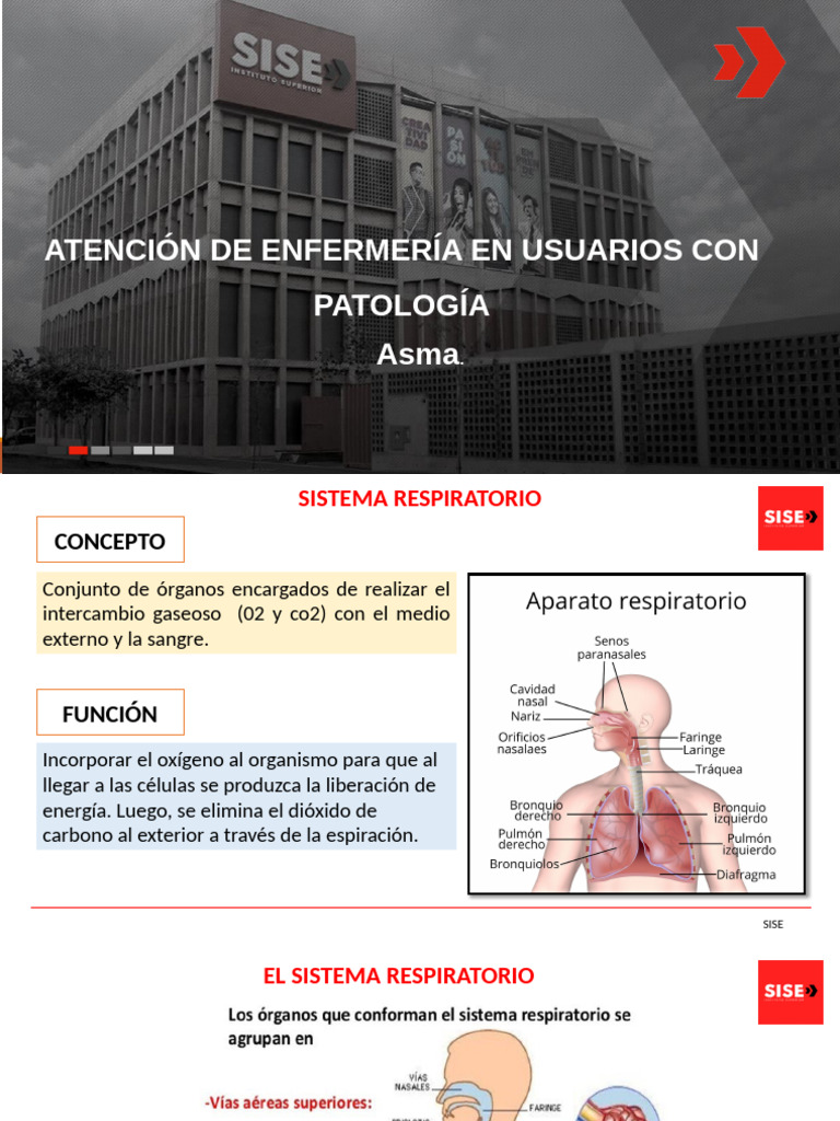 Atención De Enfermería En Asma Pdf Asma Pulmón