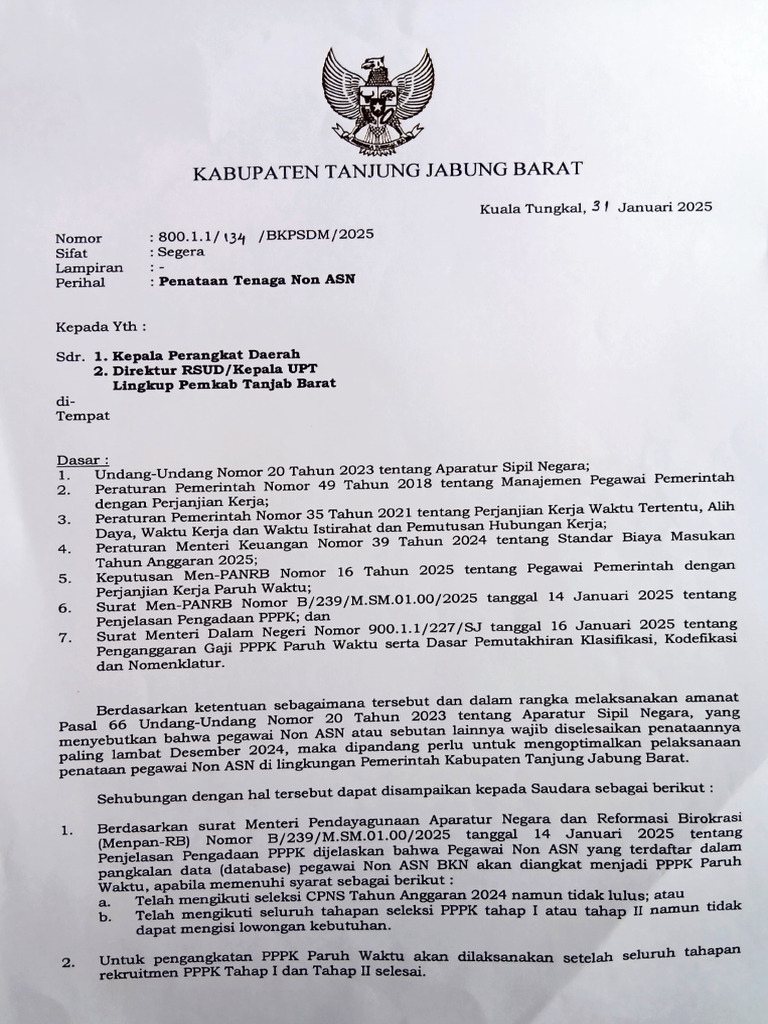 Penataan Tenaga Non ASN | PDF