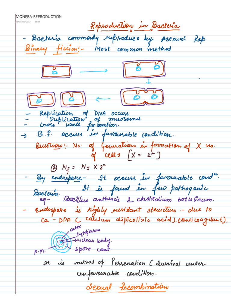 Monera Reproduction | PDF