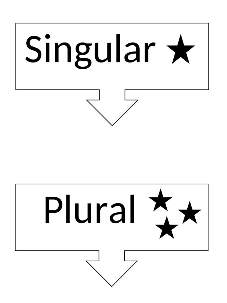 Singular Plural | PDF