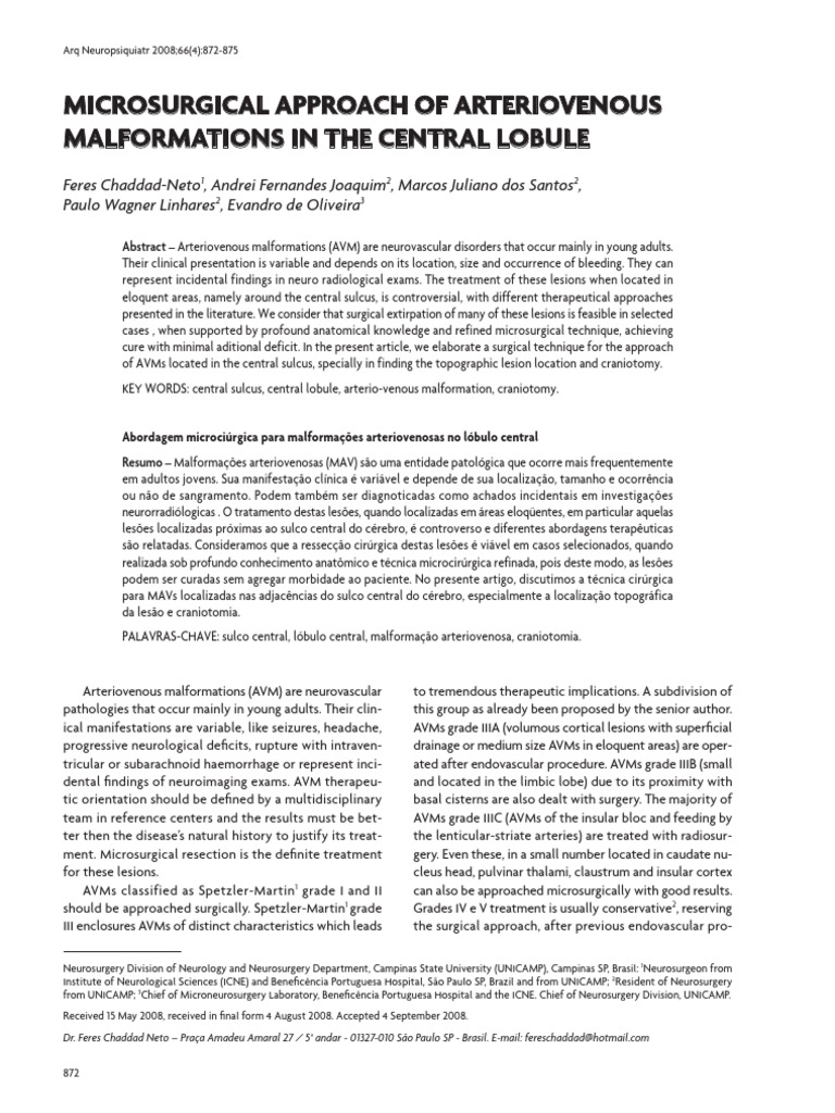 872microsurgical Approach Mavs | PDF | Vein | Skull