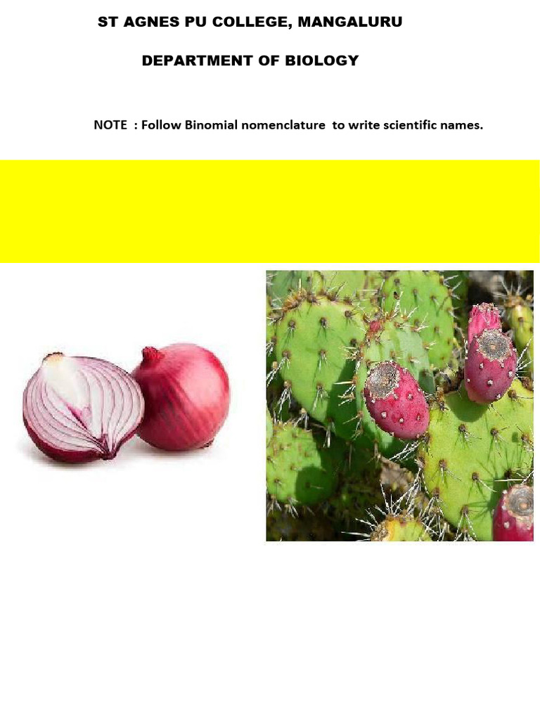 II PU Biology Practical CHARTS 2025 | PDF