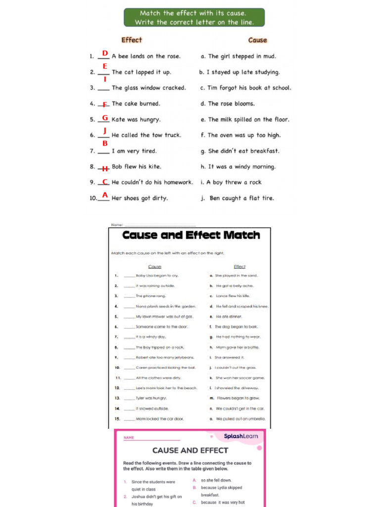 Cause and Effect | PDF
