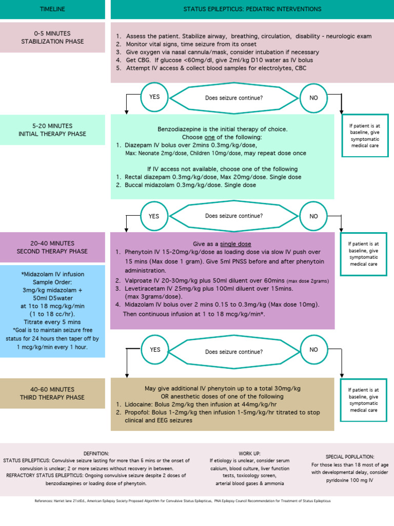 Pediatric Status Epilepticus Guide | PDF | Human Diseases And Disorders ...