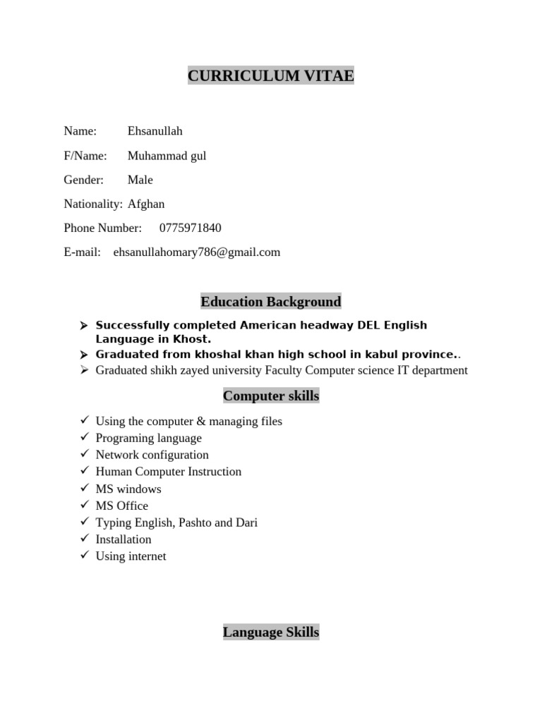 Ehsanullah's Professional CV | PDF