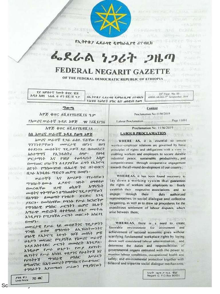 አዲሱ የአሠሪና ሠራተኛ ጉዳይ አዋጅ 1156/2011 | PDF