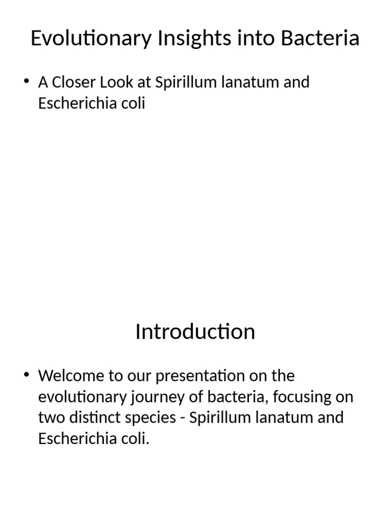 Evolutionary Insights Into Bacteria | PDF