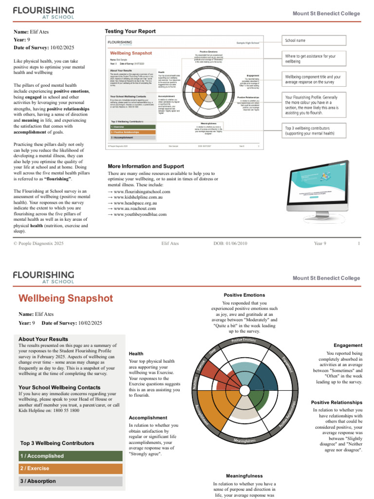 snapshot_report | PDF | Well Being | Mental Health