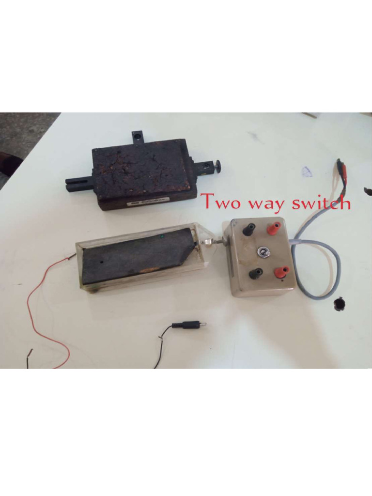 Physiology MB Steeple Chase | PDF