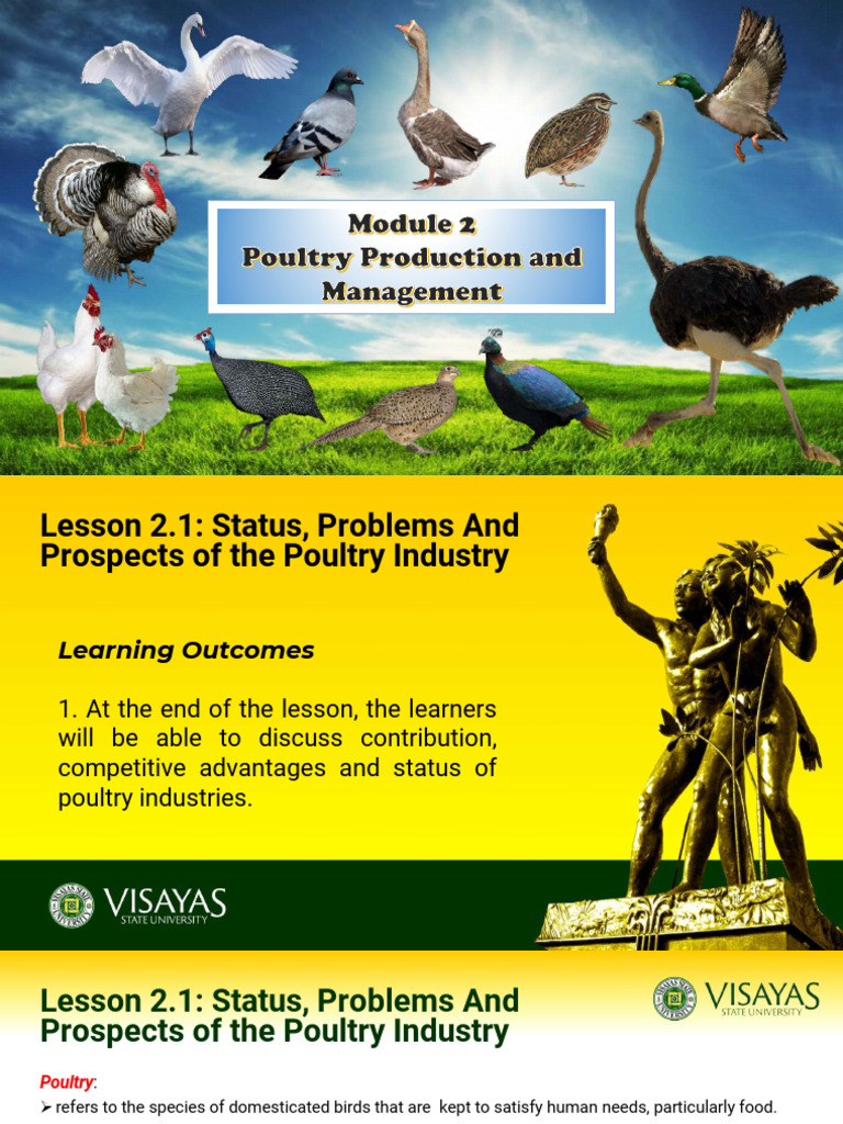 Lesson 2 1 Compressed Pdf Poultry Poultry Farming