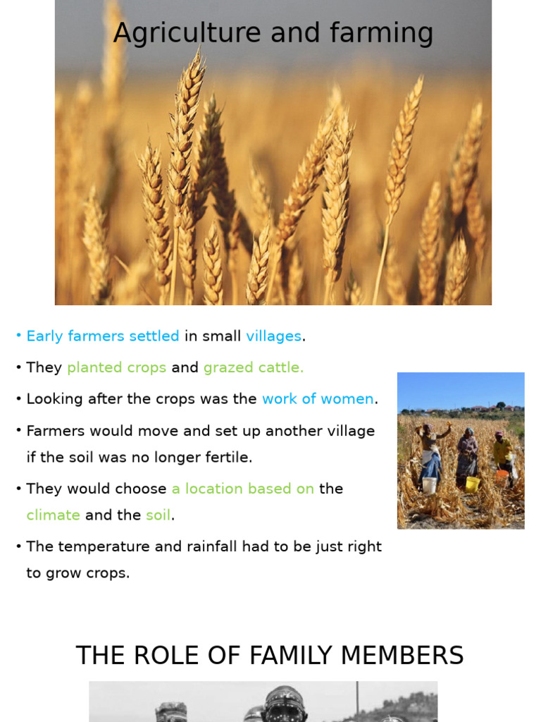 Agriculture notes | PDF