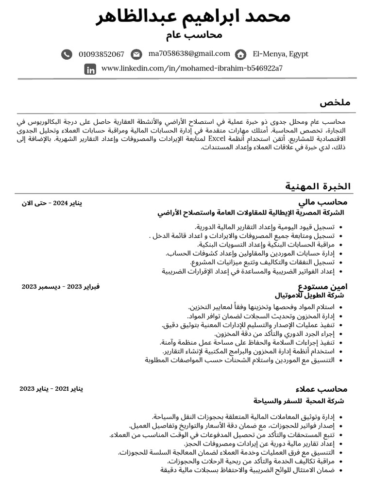 C.V mohamed ibrahem | PDF