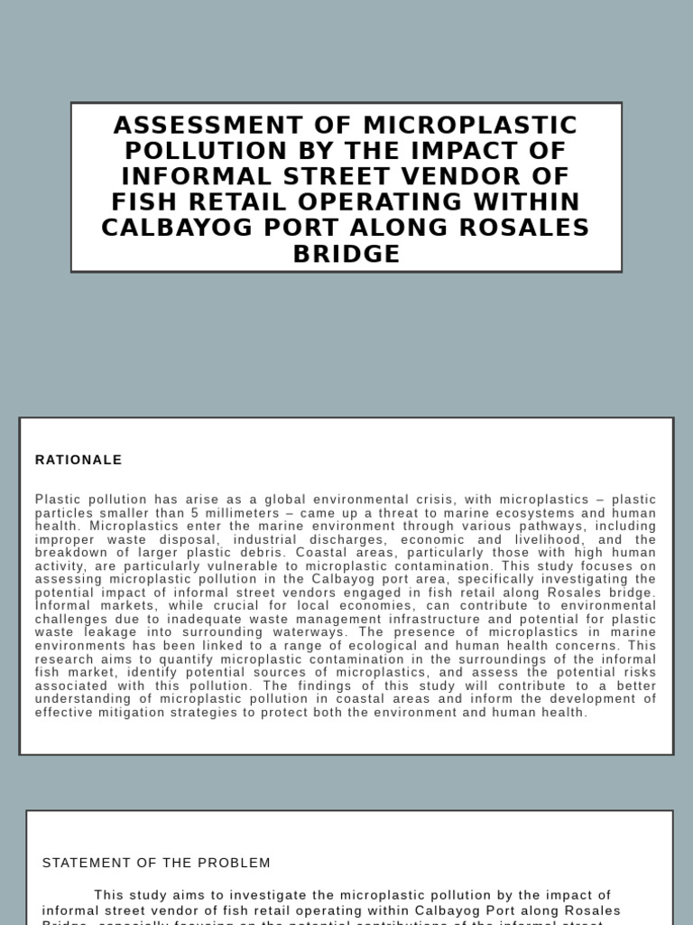Microplastic Impact from Fish Vendors at Calbayog Port | PDF ...