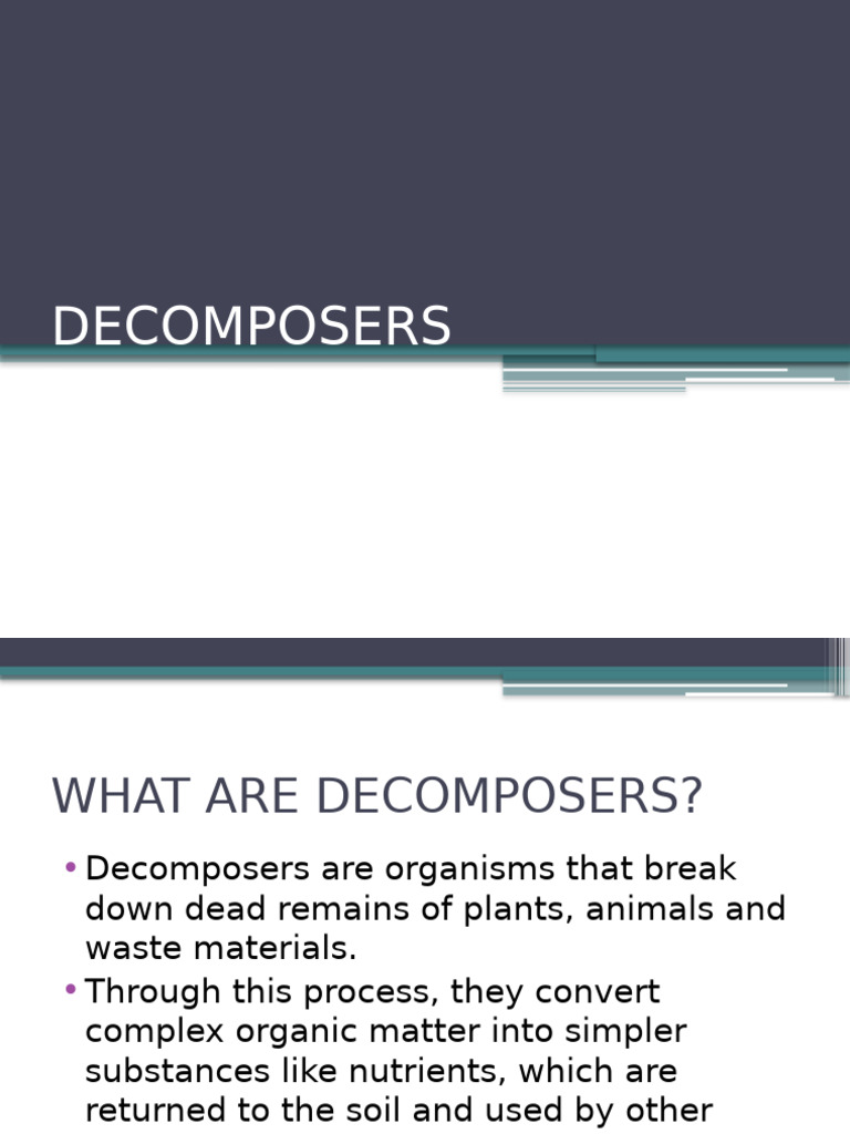 Decomposers | PDF