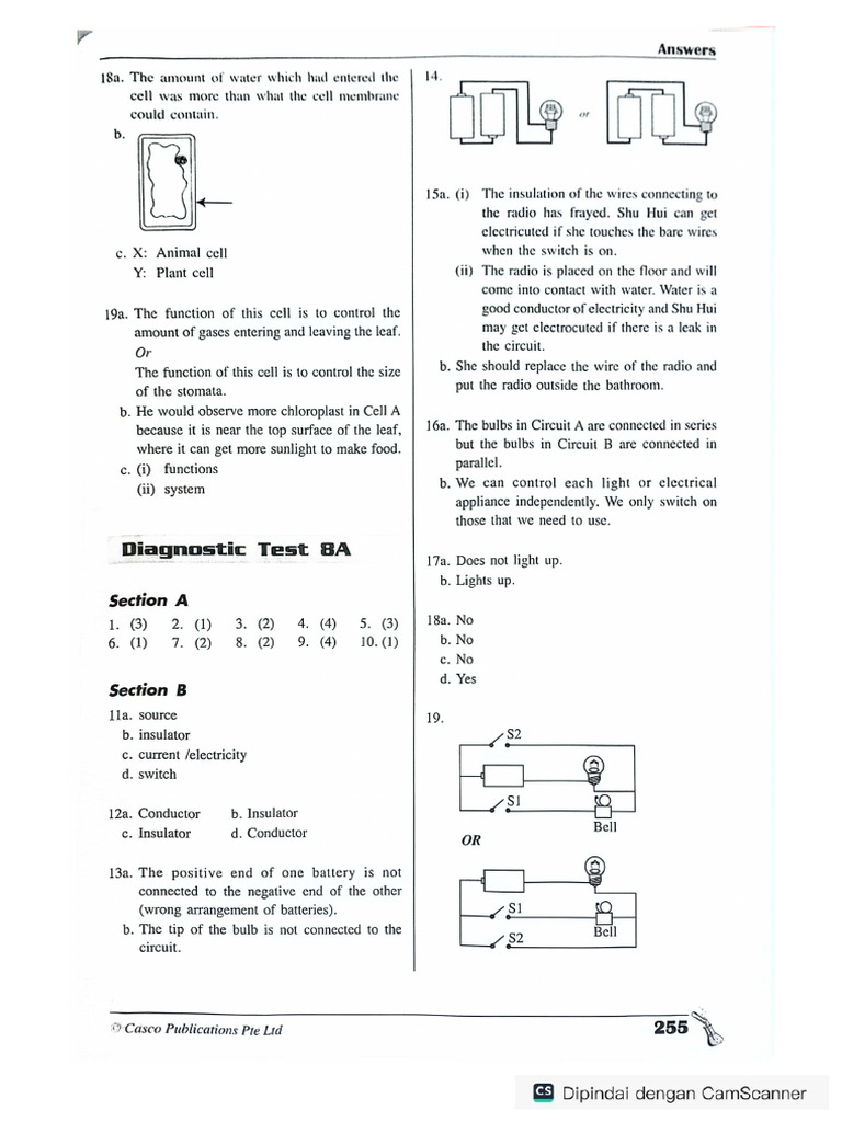 answer key DT8a | PDF