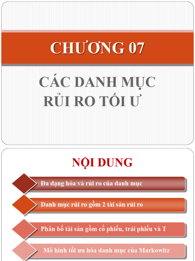 C07_Cac danh muc rui ro toi uu | PDF