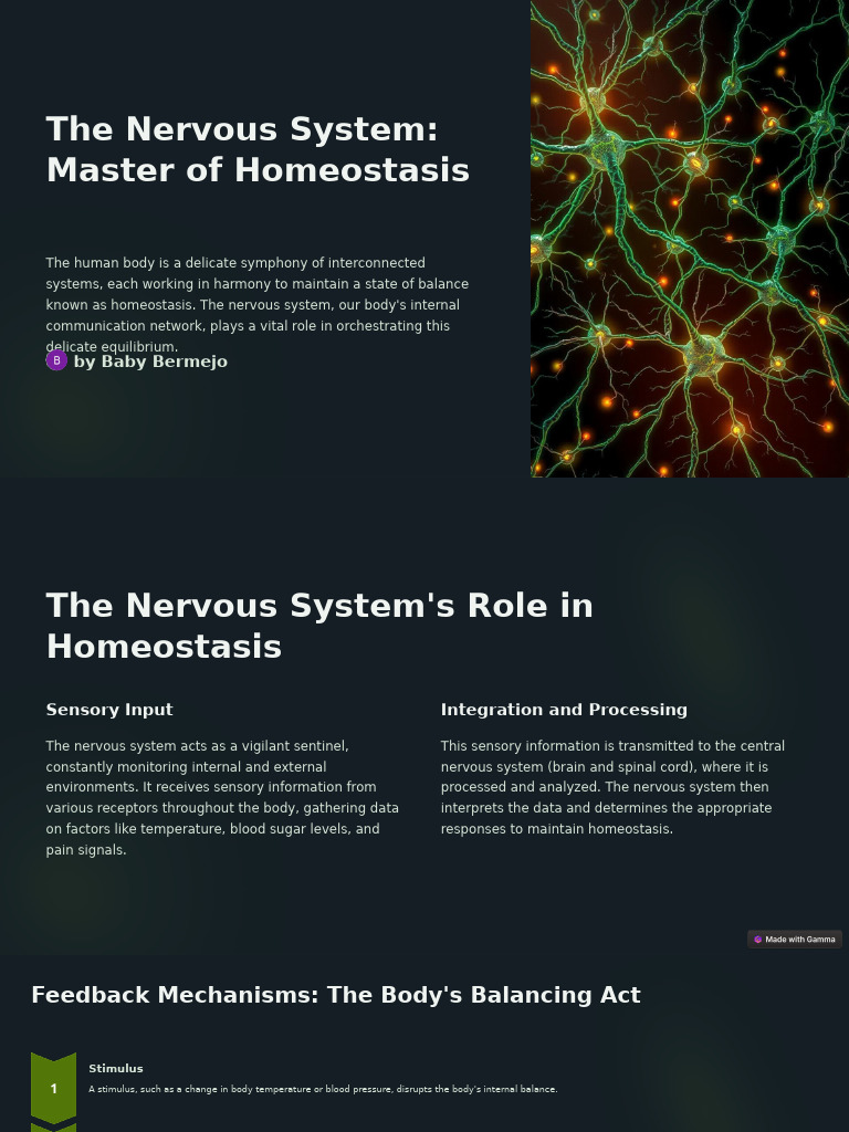 The Nervous System Master of Homeostasis | PDF | Homeostasis | Human Body