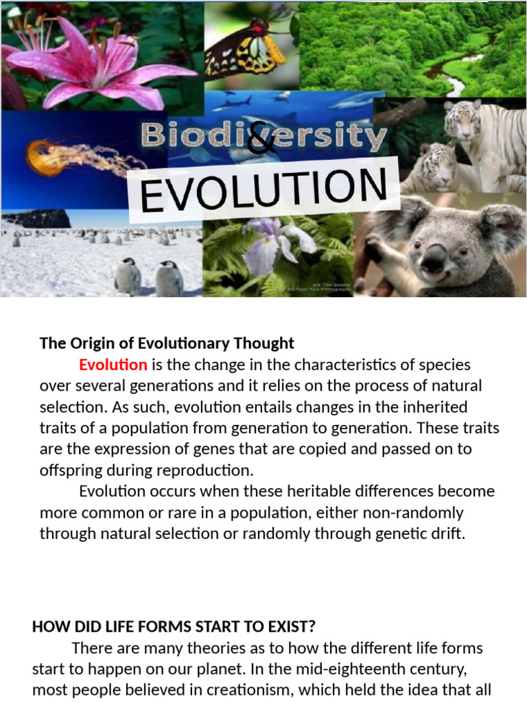 G10 Evolution and Evidences | PDF | Evolution | Natural Selection