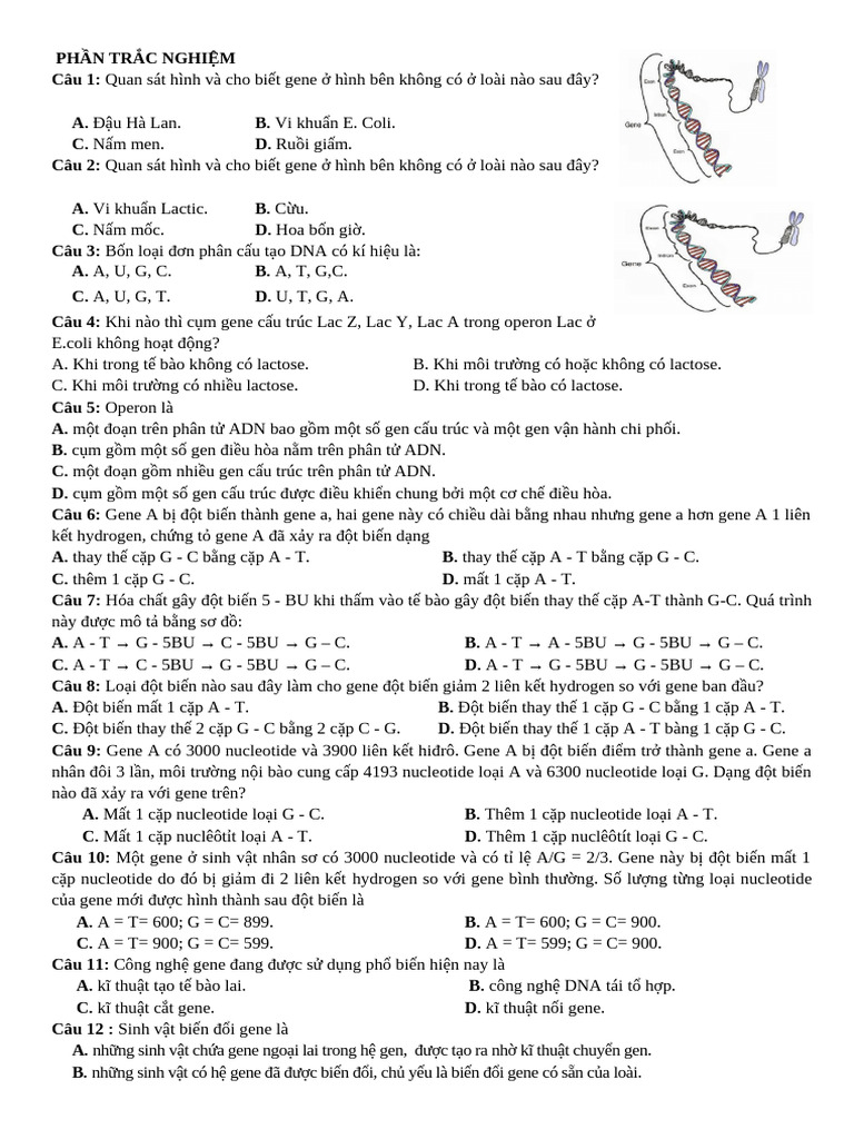 Dũng gửi 1 số câu hỏi tn sinh | PDF
