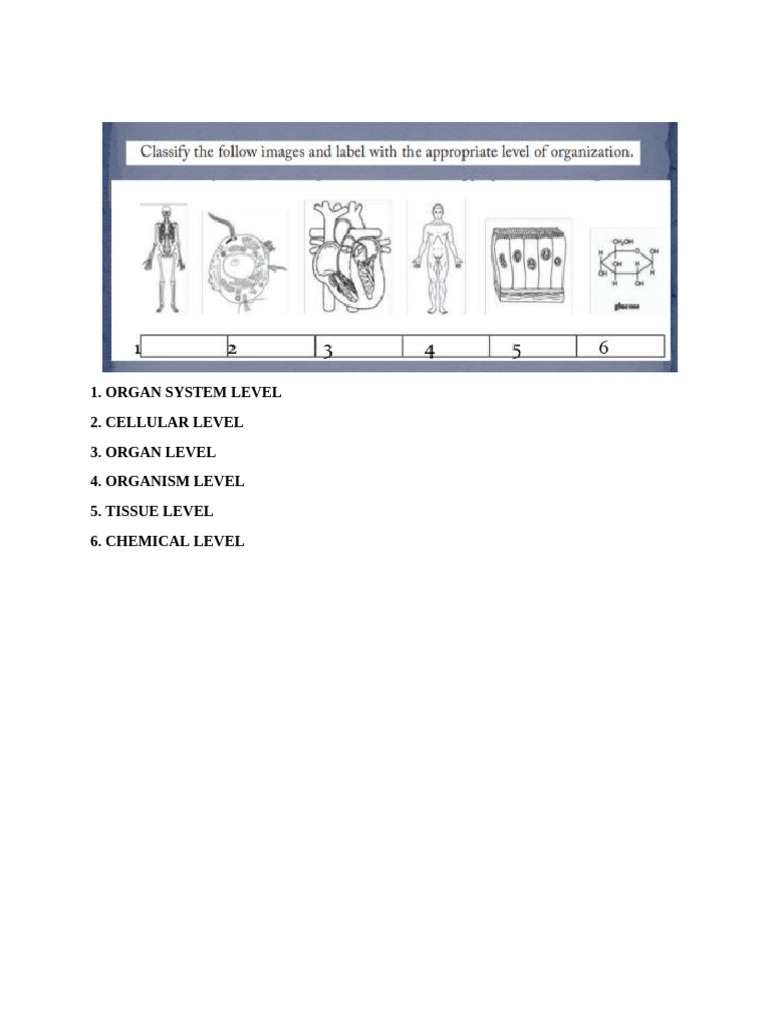 Level of Organization Act. | PDF