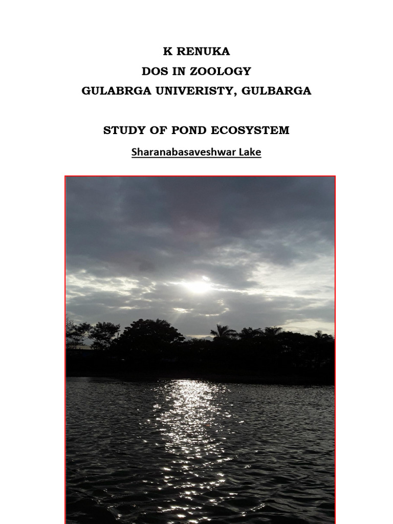 Study of Pond Ecosystem - K Renuka | PDF
