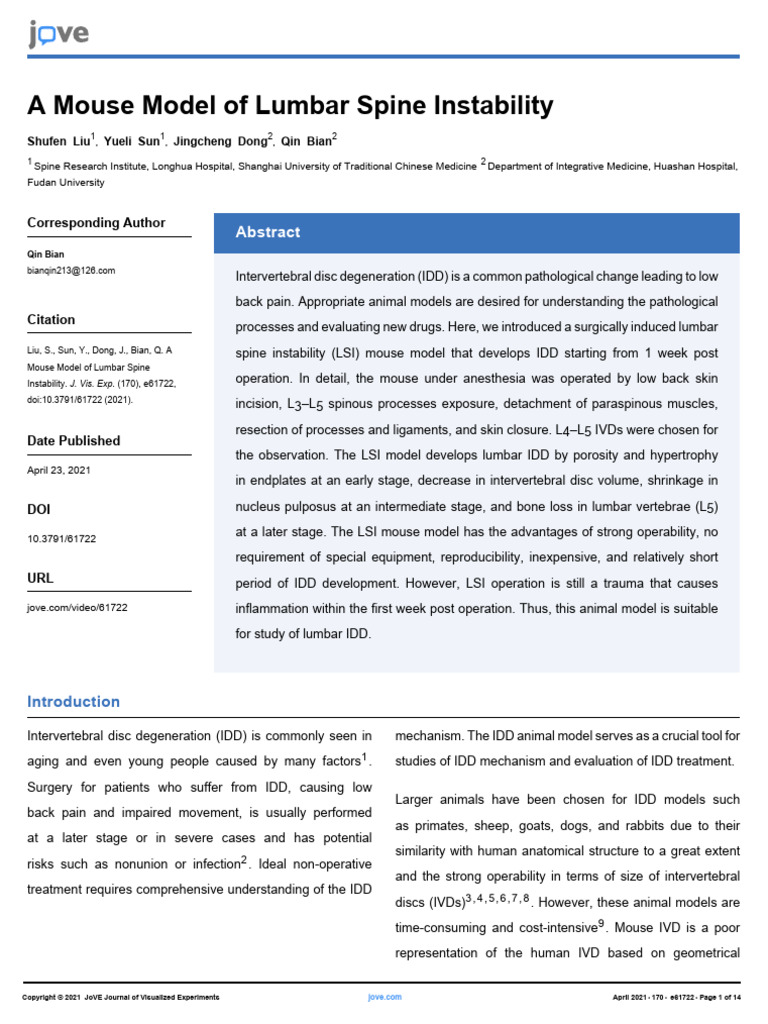 A Mouse Model of Lumbar Spine Instability | PDF | Vertebra | Vertebral ...