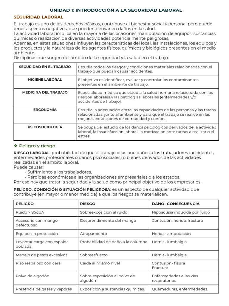 CSL- Tema 1. Introducción a la seguridad laboral | PDF | Seguridad y salud ocupacional