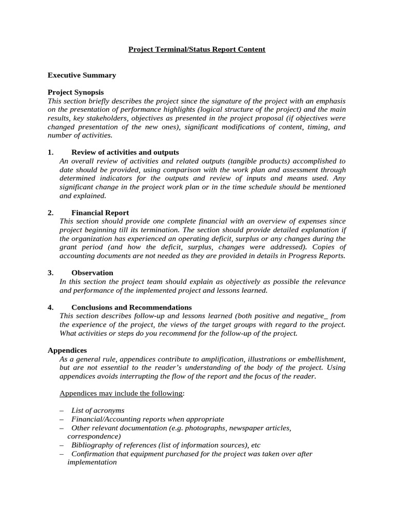 DHEI Project Terminal Report Content | PDF | Cognitive Science