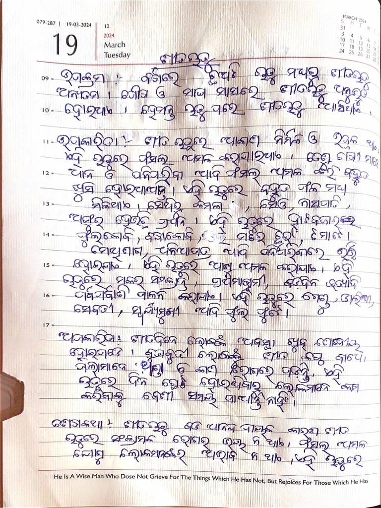 Class 6A Odia | PDF