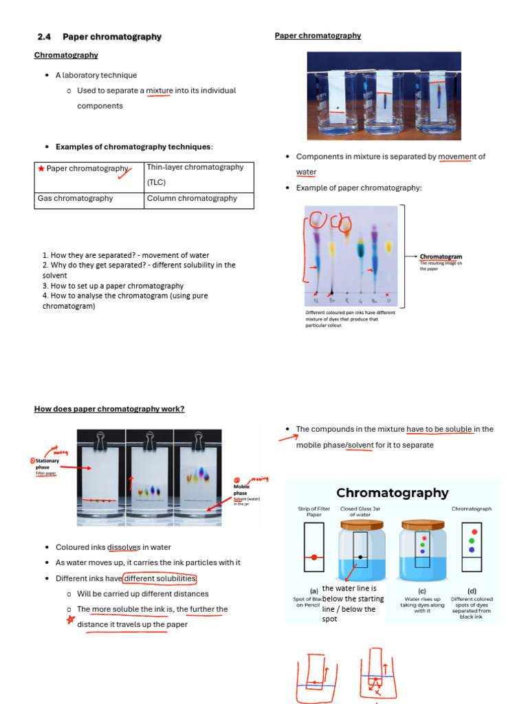 Y8 Tue - Paper Chromatography (Answers) | PDF | Chromatography | Thin ...