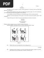BECE Objective Answer Sheet Guide | PDF