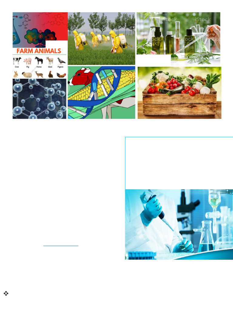 Alcohols and Ethers in Applied Chemistry | PDF | Ether | Ethanol