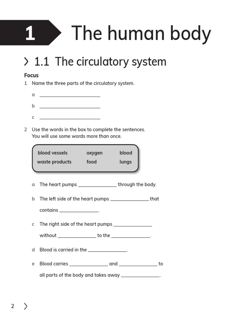 Cambridge Primary Science 6 Workbook - Abridged | PDF | Jupiter ...