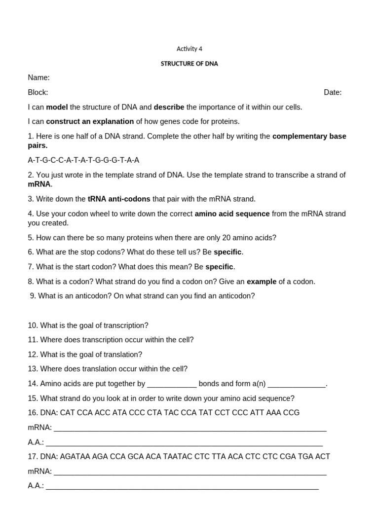 DNA Structure and Protein Coding Activity | PDF